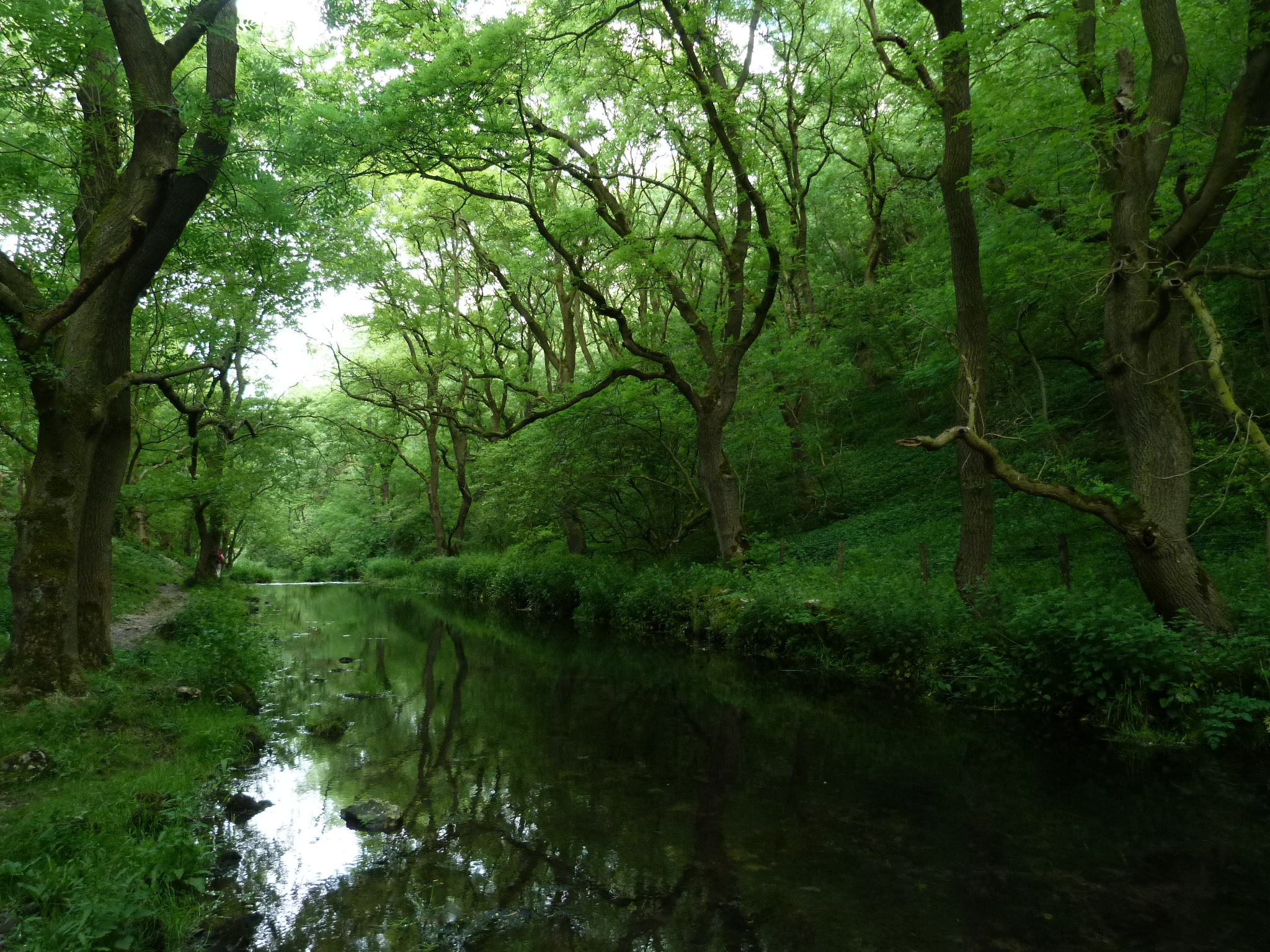 Today I Am Angry | southdownswayandbeyond